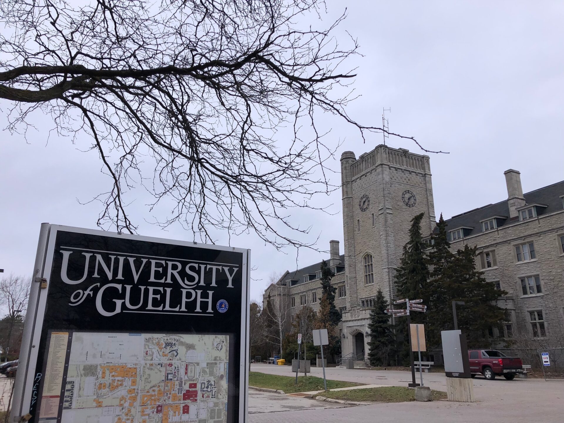 Stijn in Guelph